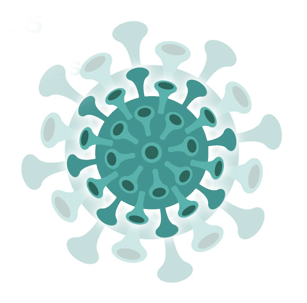 Covid-19 Update – Paul Shearman