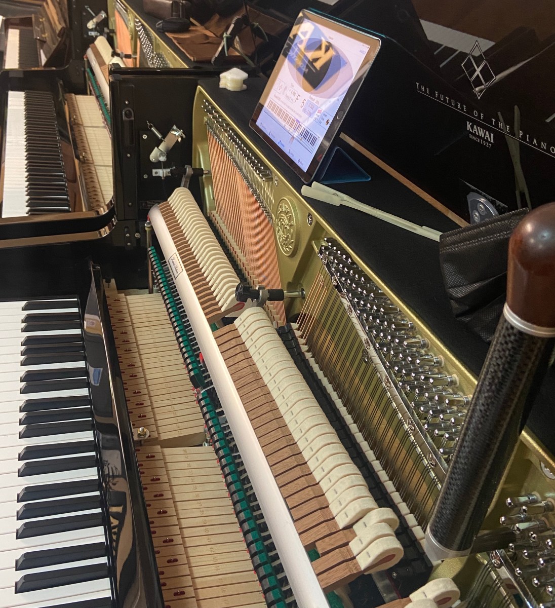 Book today! – Paul Shearman